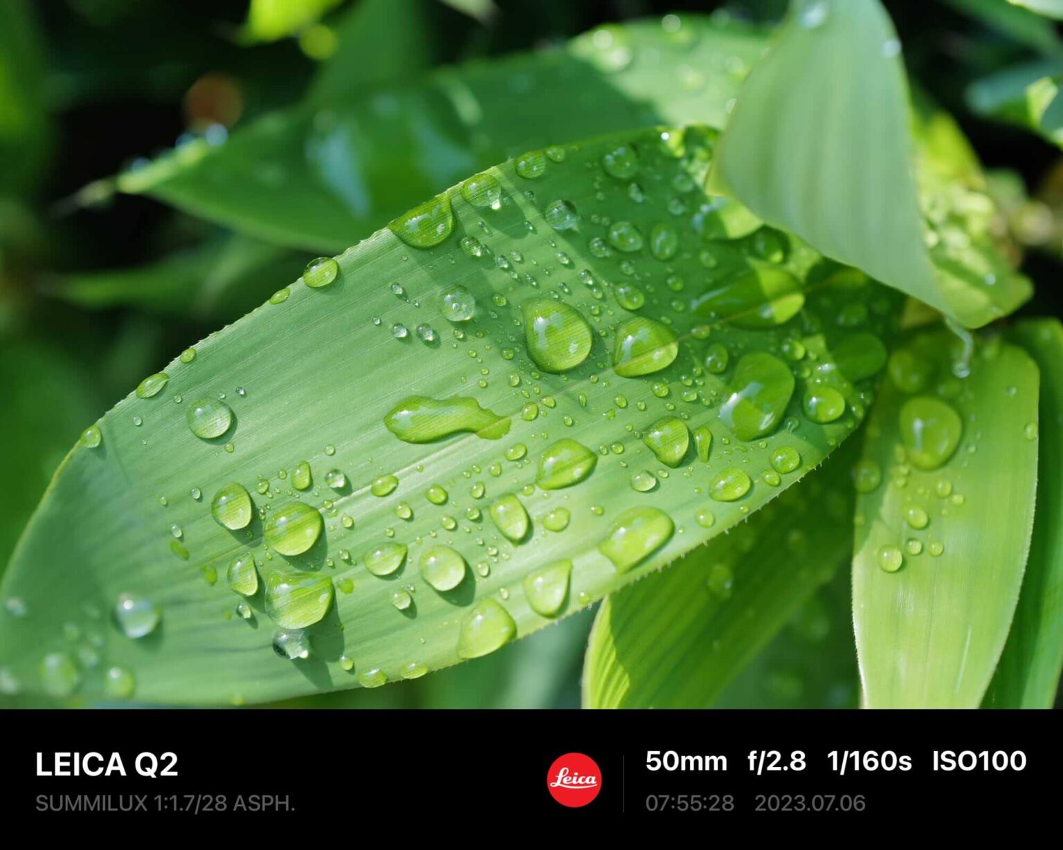 写真のEXIF情報をフレーム（枠）に自動で入れてくれる写真加工アプリ「Liit」で写真が楽しくなってきた！ – オニマガ – 名古屋散歩と ...